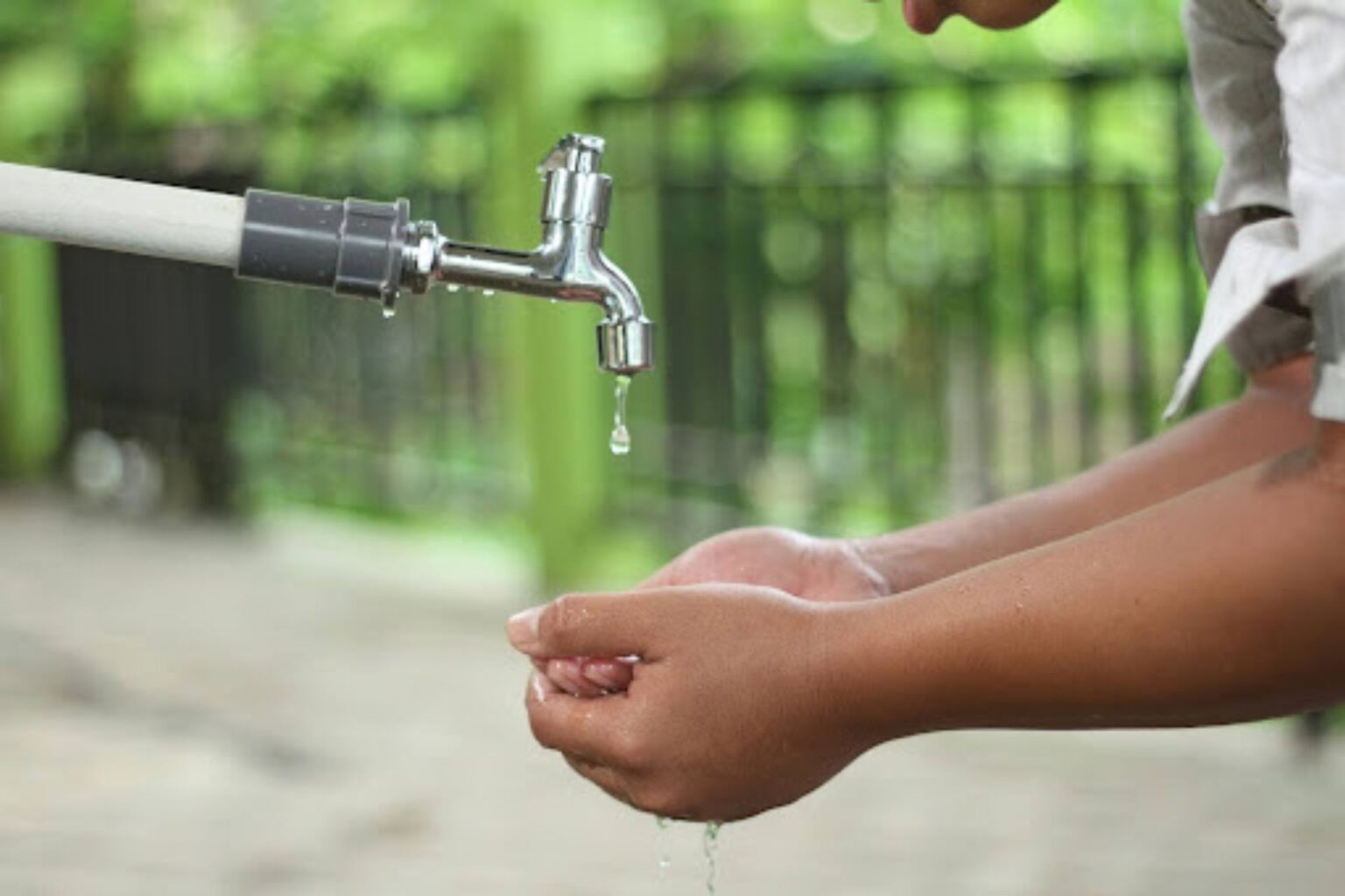 Eco-Friendly Practices Matter: 5 Simple Changes You Can Make at Home ...